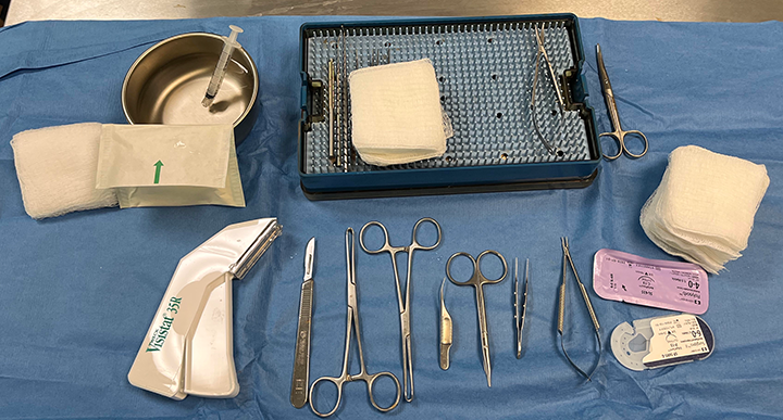 Transpalpebral Enucleation in Cats & Dogs | Clinician's Brief