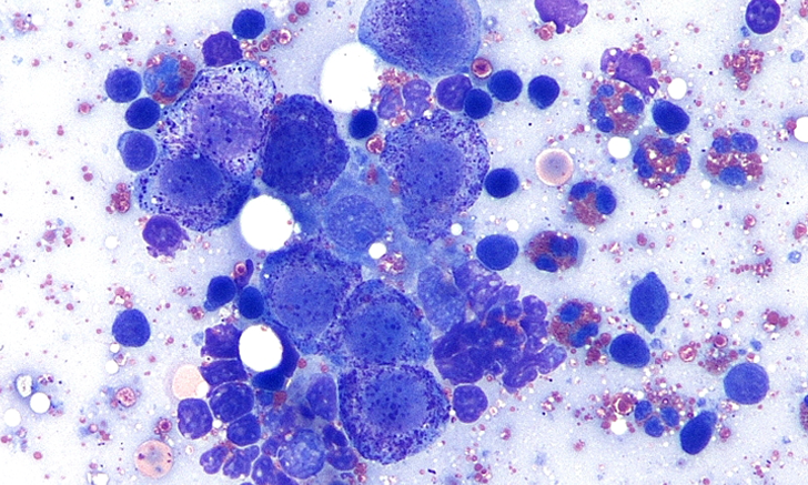 Differential Clinical Staging for Mast Cell Tumors in Dogs
