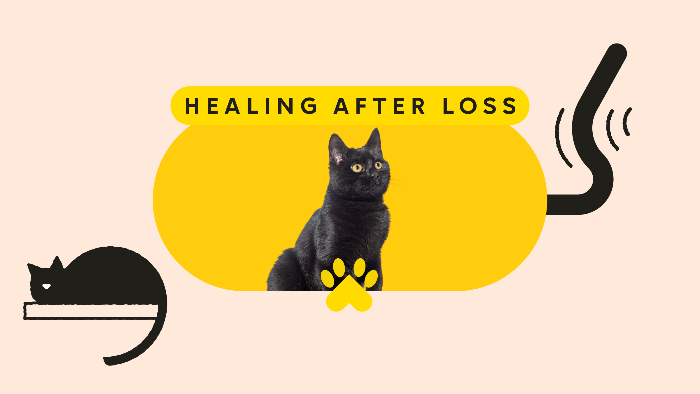 How I Found Healing After Losing My Cat to Cancer - GoodRx