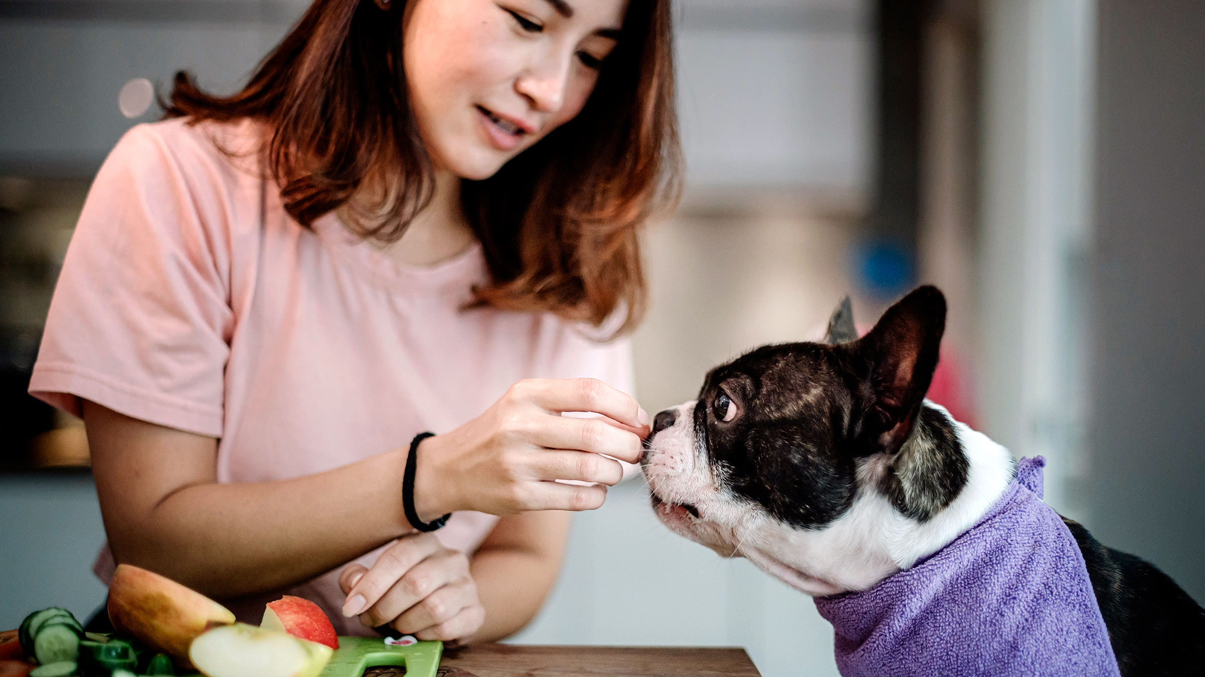 Yes, Dogs Can Eat Apples — Here’s What You Need to Know - GoodRx