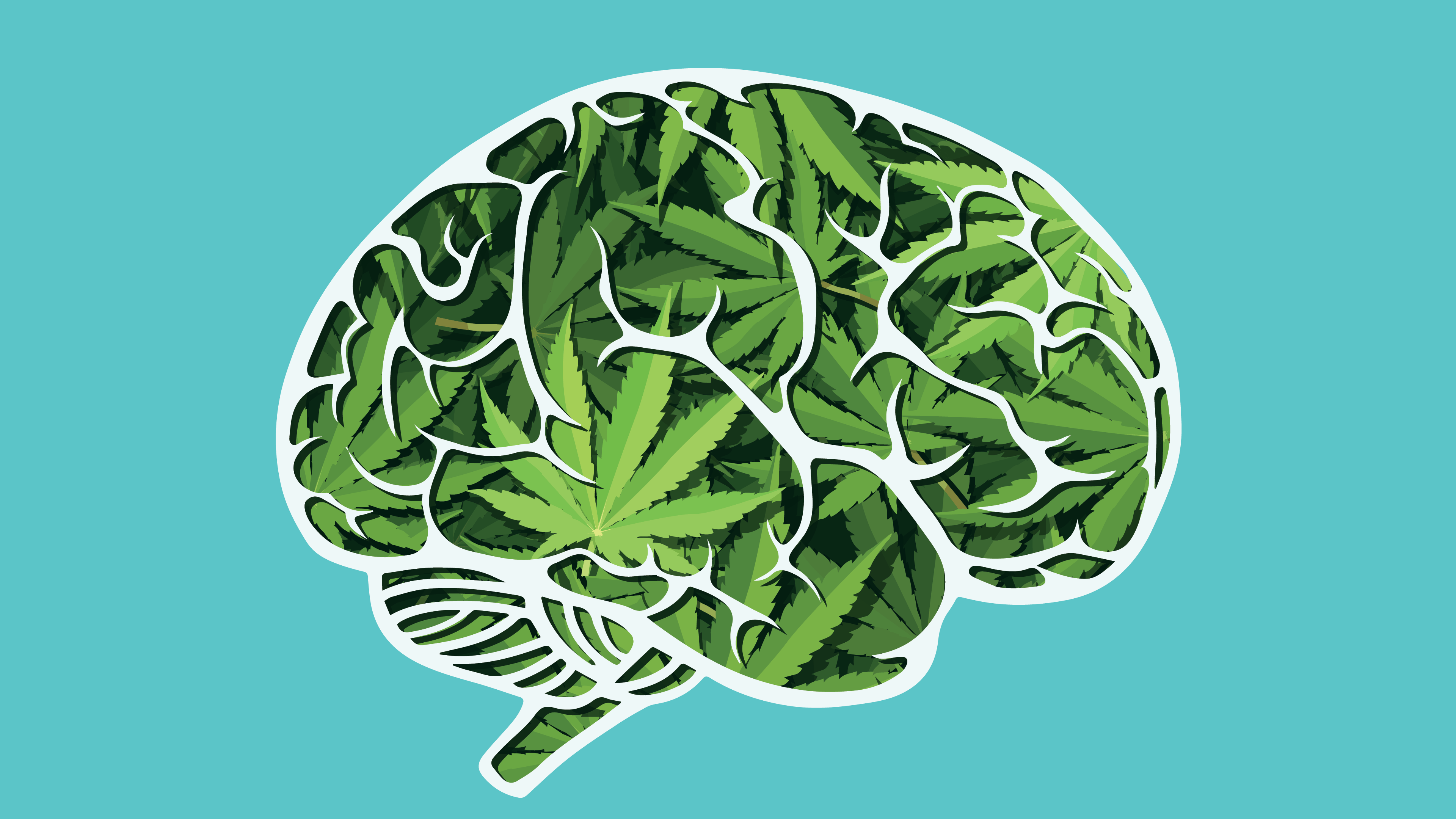 Cannabinoids 101: Here’s Exactly How Cannabis Works in the Body - GoodRx