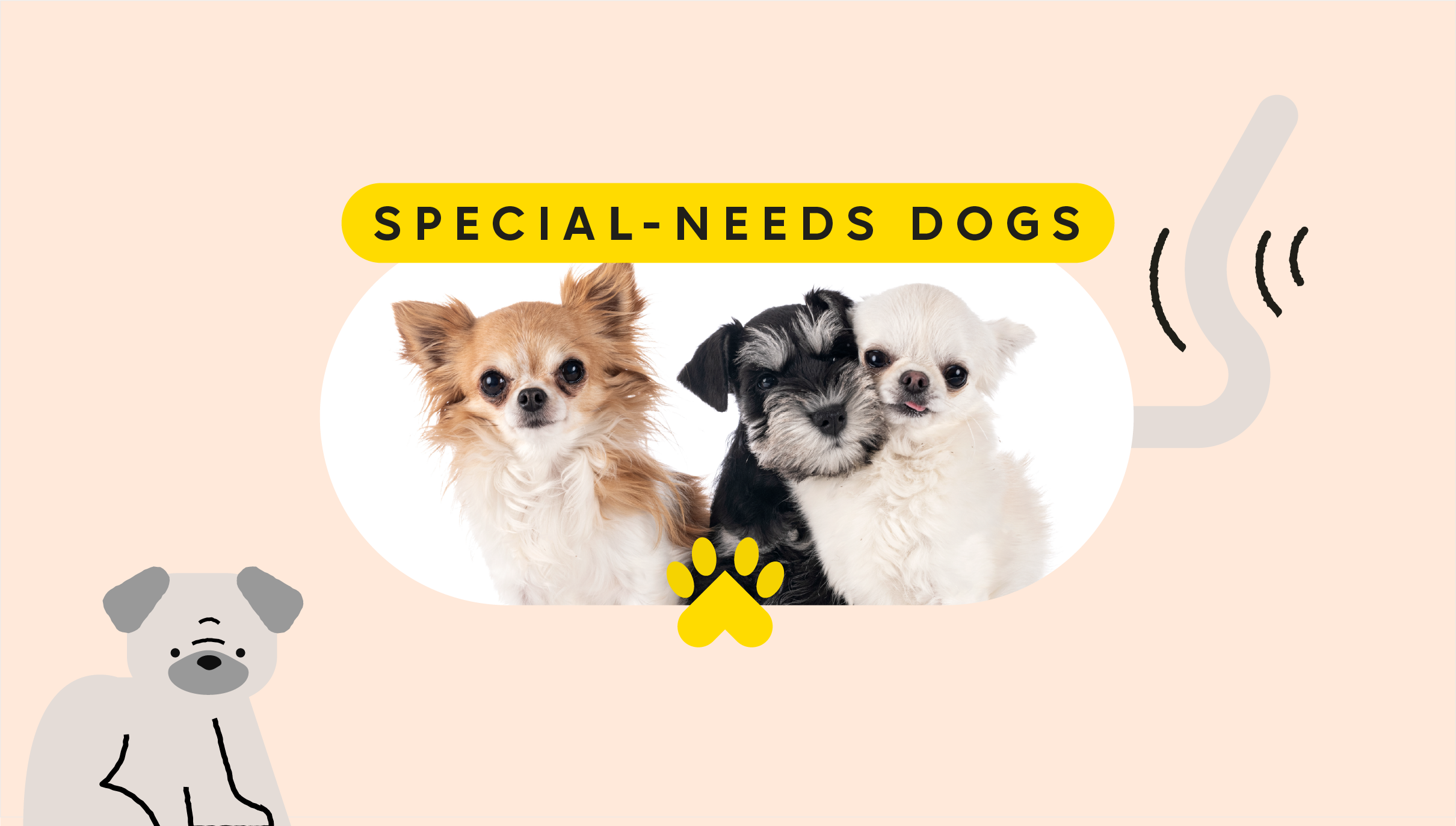 How One Woman Cares for Special-Needs Dogs and Offers Tips to Help ...