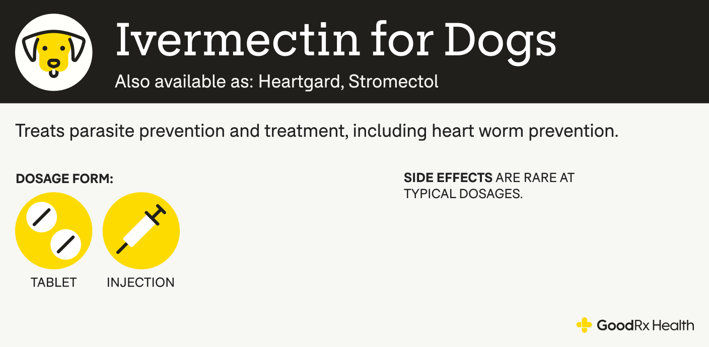 Ivermectin for Dogs: Dosages, Side Effects, and More - GoodRx