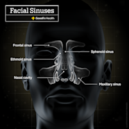 How To Stop Postnasal Drip 6 Treatments To Try GoodRx How To Stop Postnasal Drip 6 Treatments To Try GoodRx
