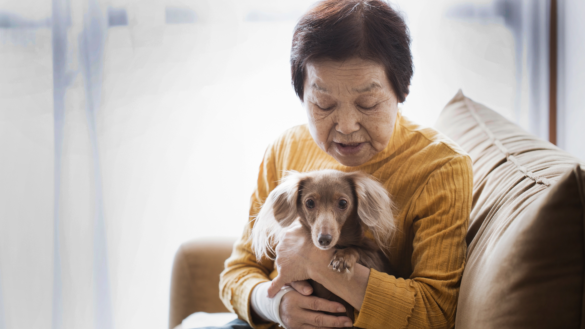 Why Do Dogs Shiver? 10 Causes and How to Address Them - GoodRx