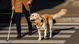 How Much Does A Service Dog Cost GoodRx