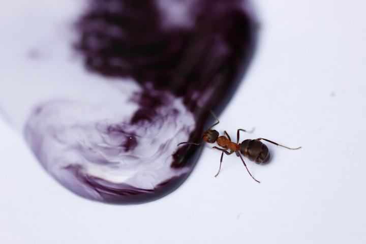 Arts & Culture Exeter | Mapping Emergence - Creatively Exploring the ...