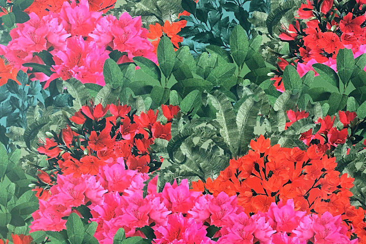 Arts & Culture Exeter | Wild Hive Wallpaper