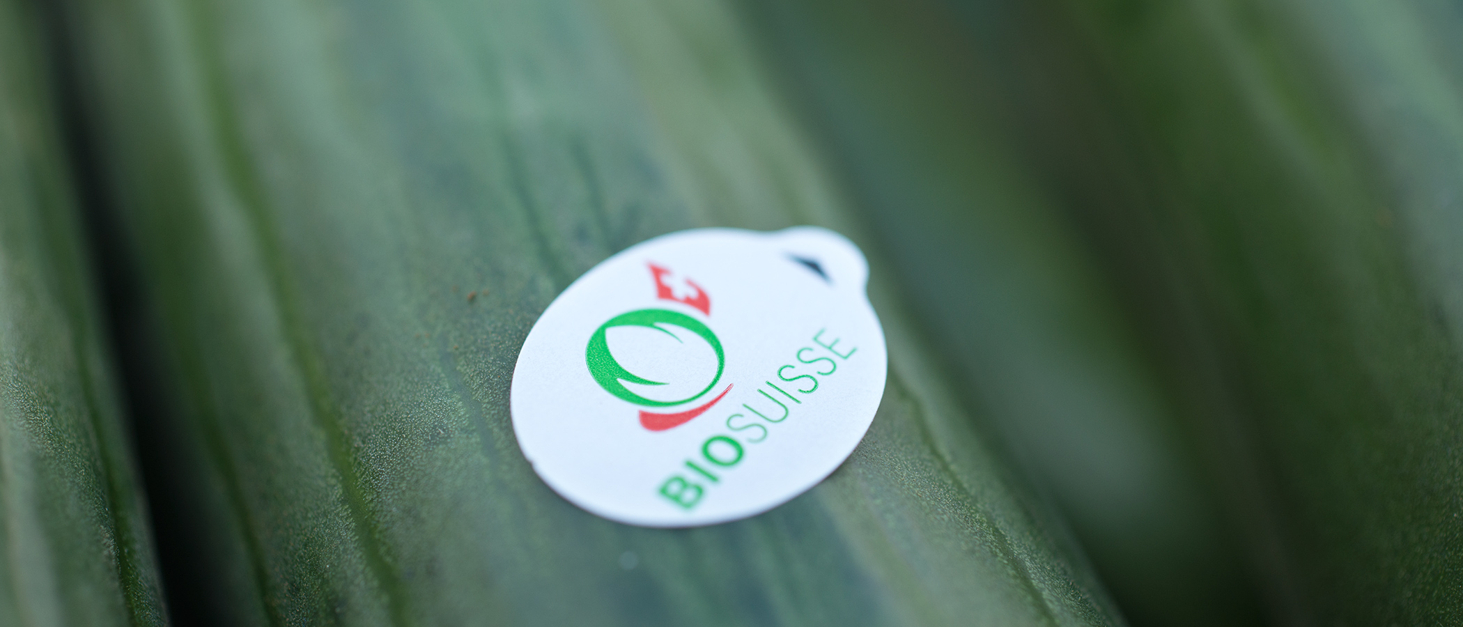 Produits Migros Bio: certifiés Bourgeon Bio Suisse • Migros