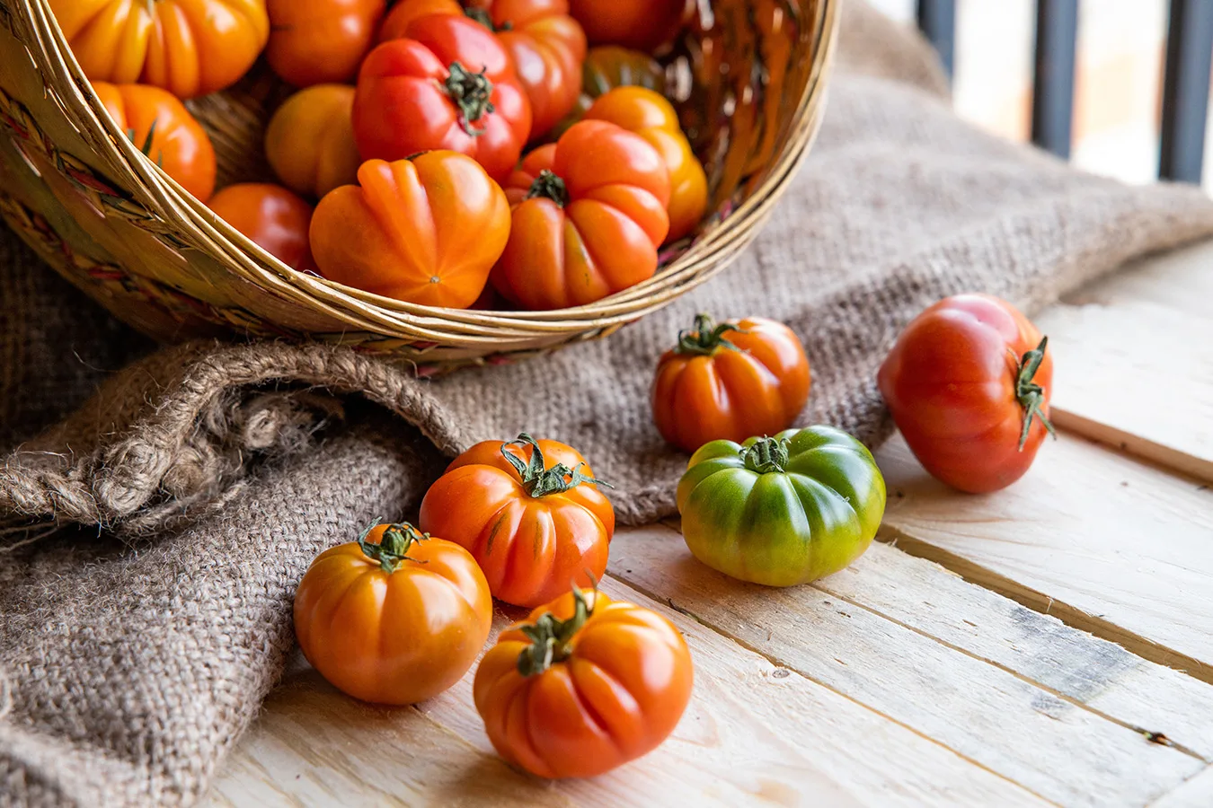 Love tomatoes? You must try these varieties • Migros Online