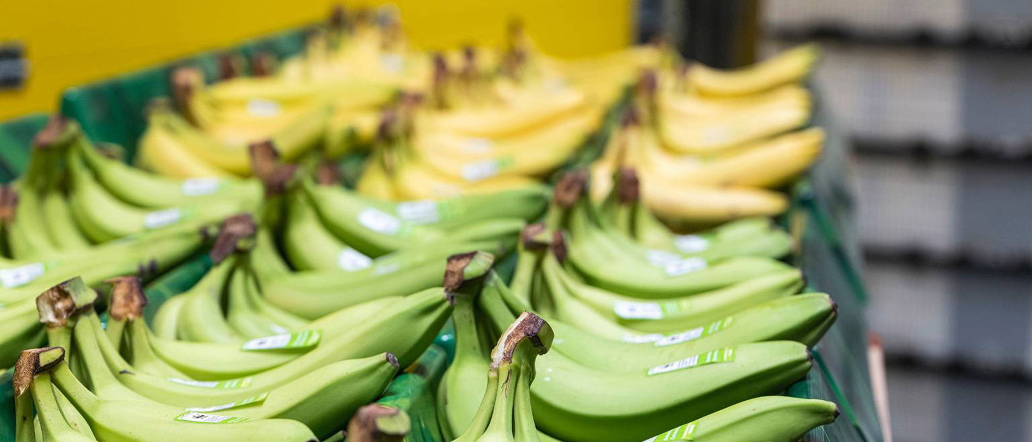 Reife Banane • Migros