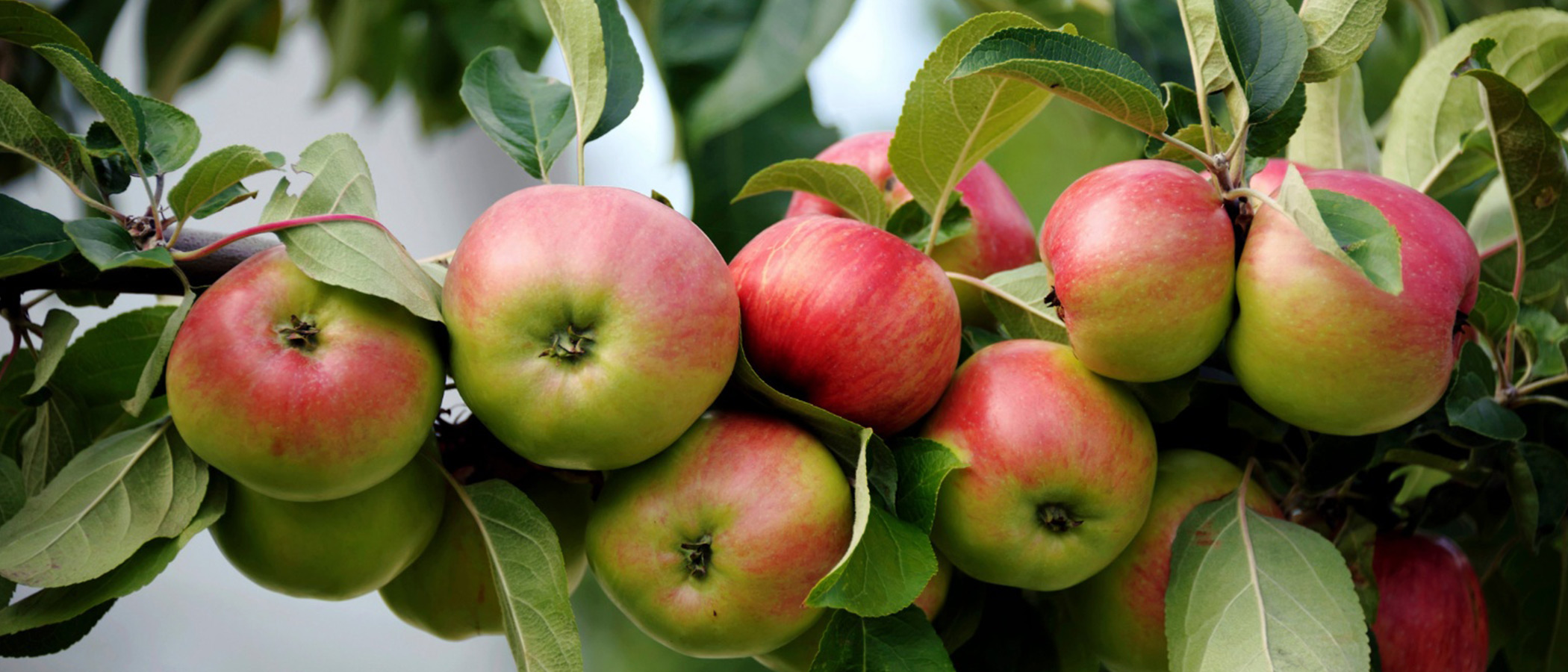 Gut zu wissen • Migros