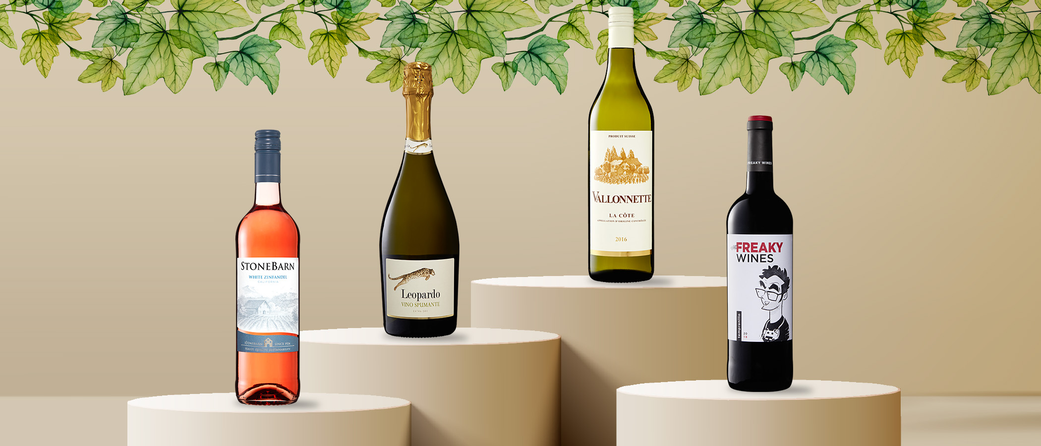 Guter Wein muss nicht teuer sein: 15 Weine unter 15 Franken • Migros