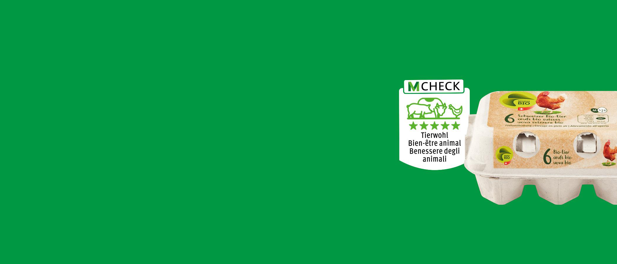 M-Check: So bewerten wir die Eier • Migros