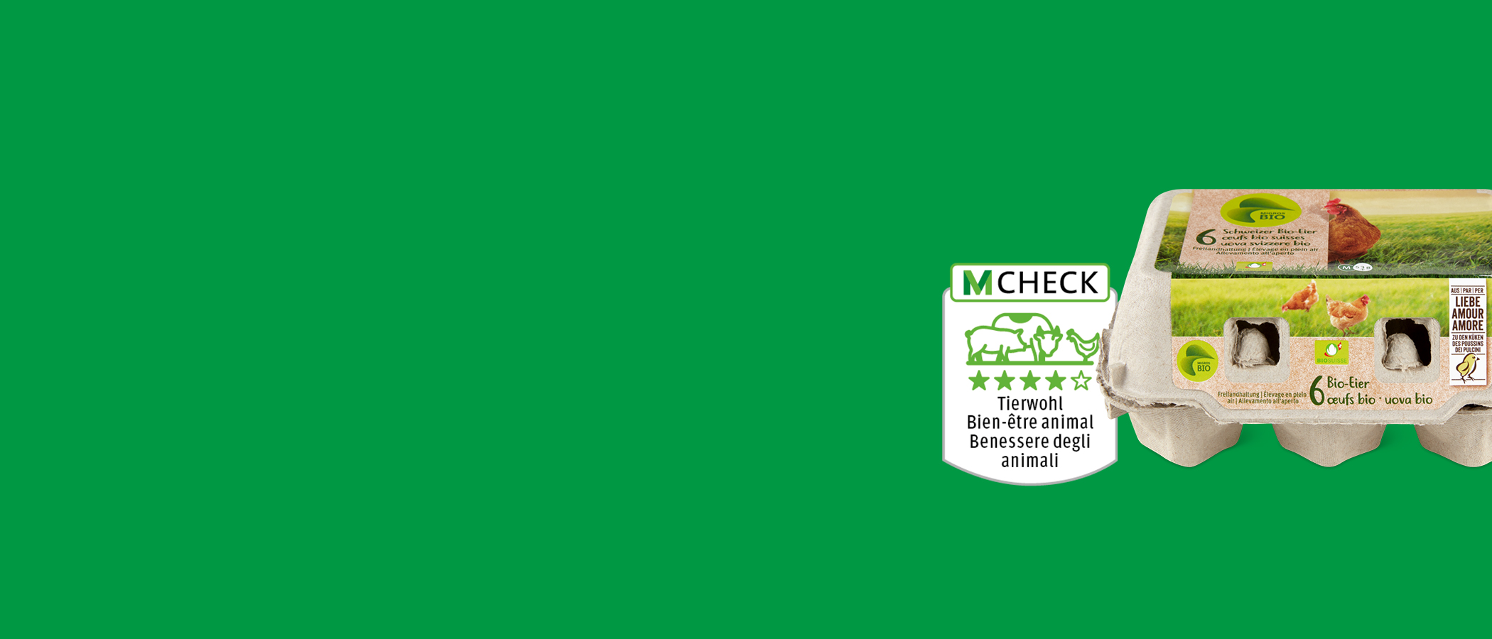 M-Check: So bewerten wir die Eier • Migros