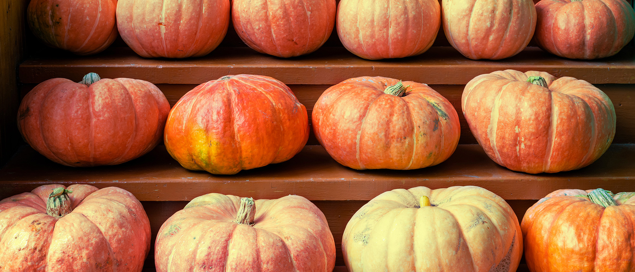 C’est enfin la saison des courges ! • Migros