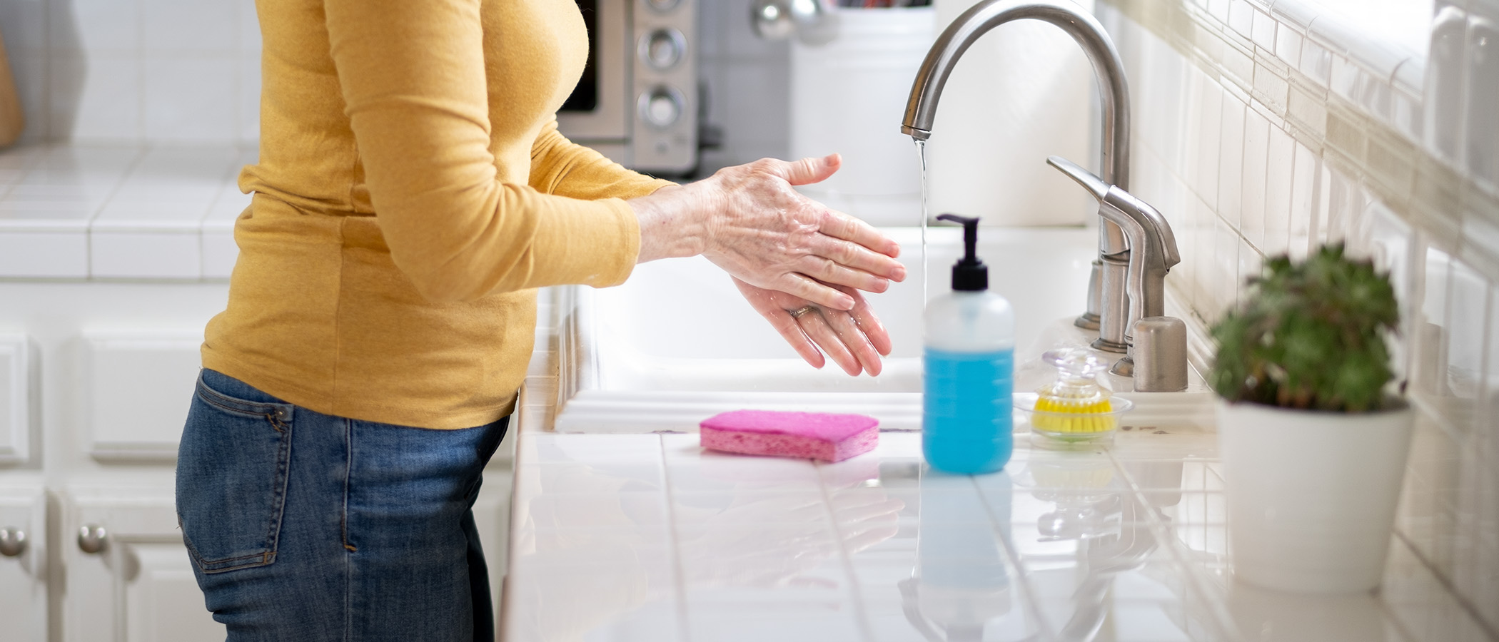 Bacteria traps • Migros