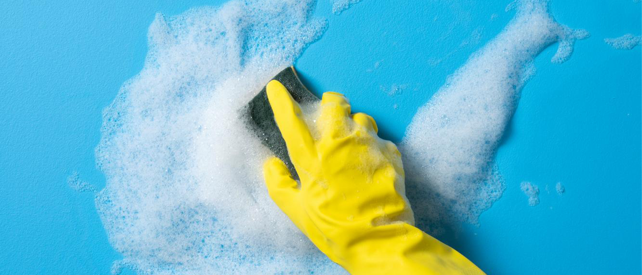 Come pulire la spugna in modo corretto • Migros