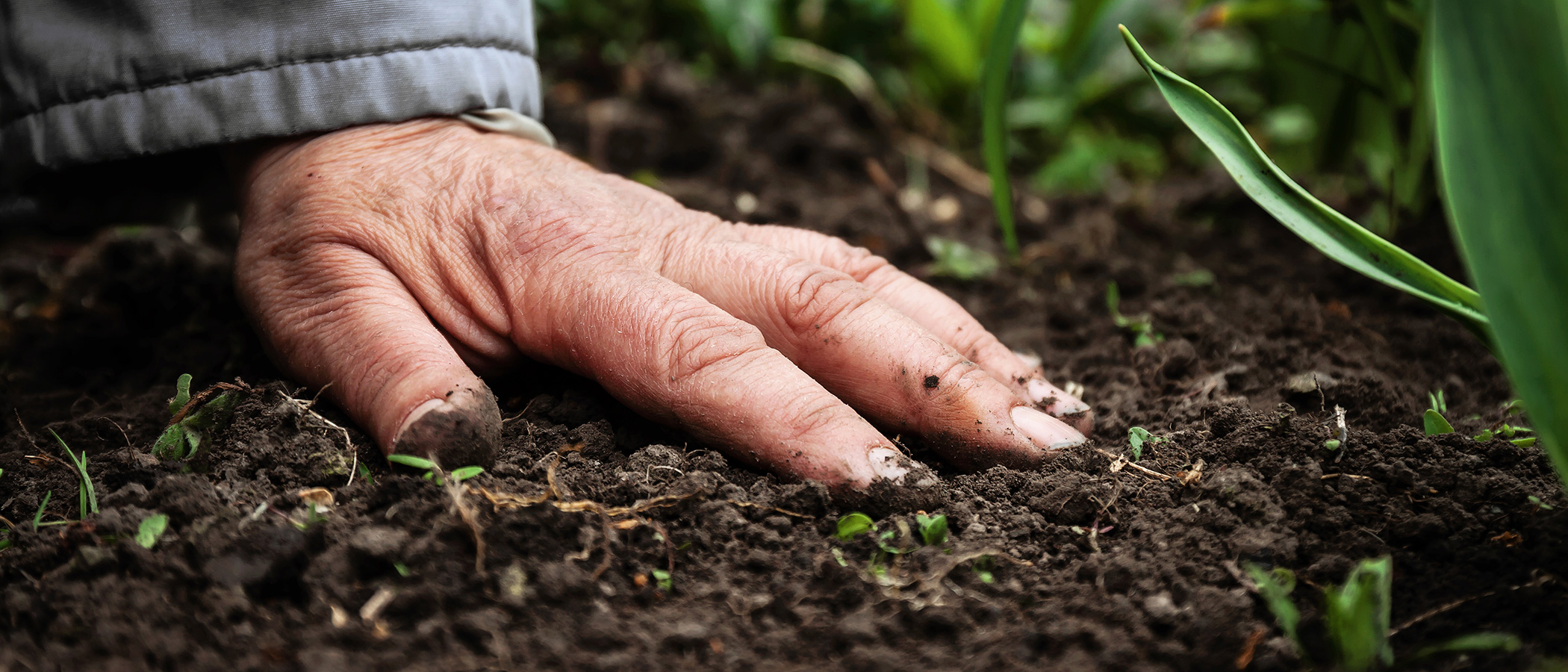 Labels für Haushalts- und Gartenprodukte • Migros