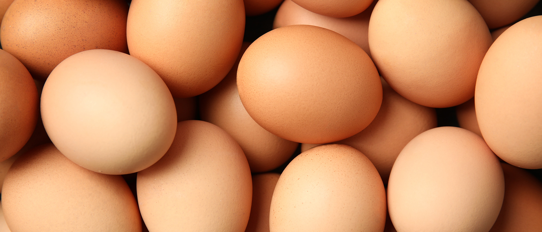 Will there be a shortage of eggs this Easter? • Migros