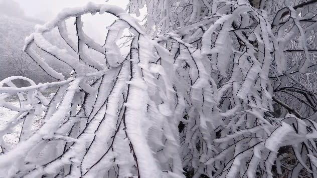 The science behind rime ice – Weather News