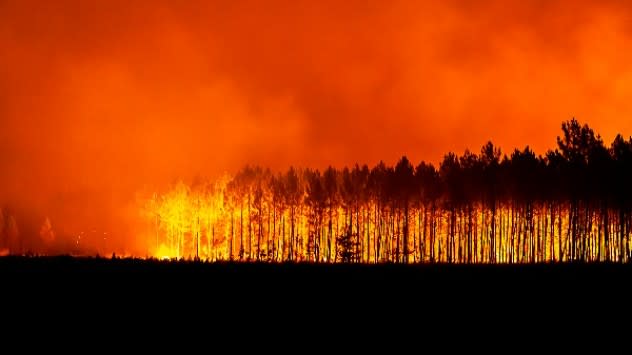Folgen der Rekord-Feuer: Viel mehr Emissionen durch Waldbrände