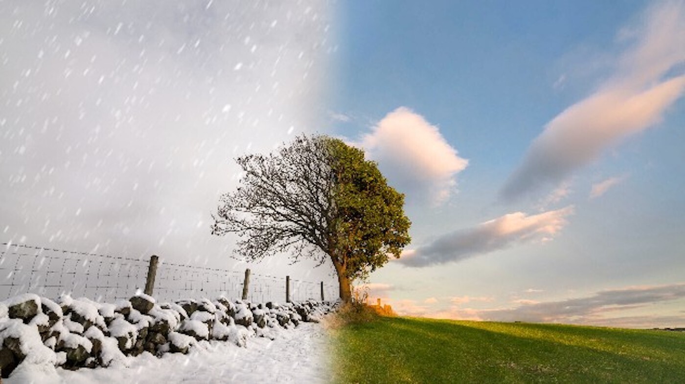 Spring has officially arrived – Weather News