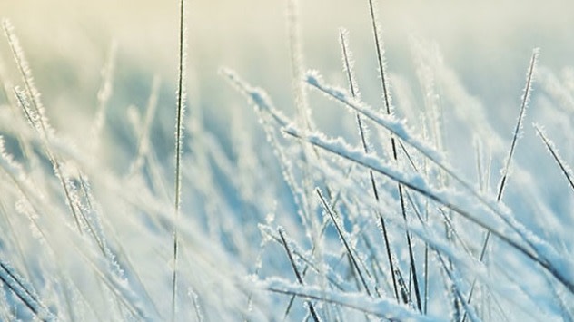 Weerweetje - Wat is vorst?