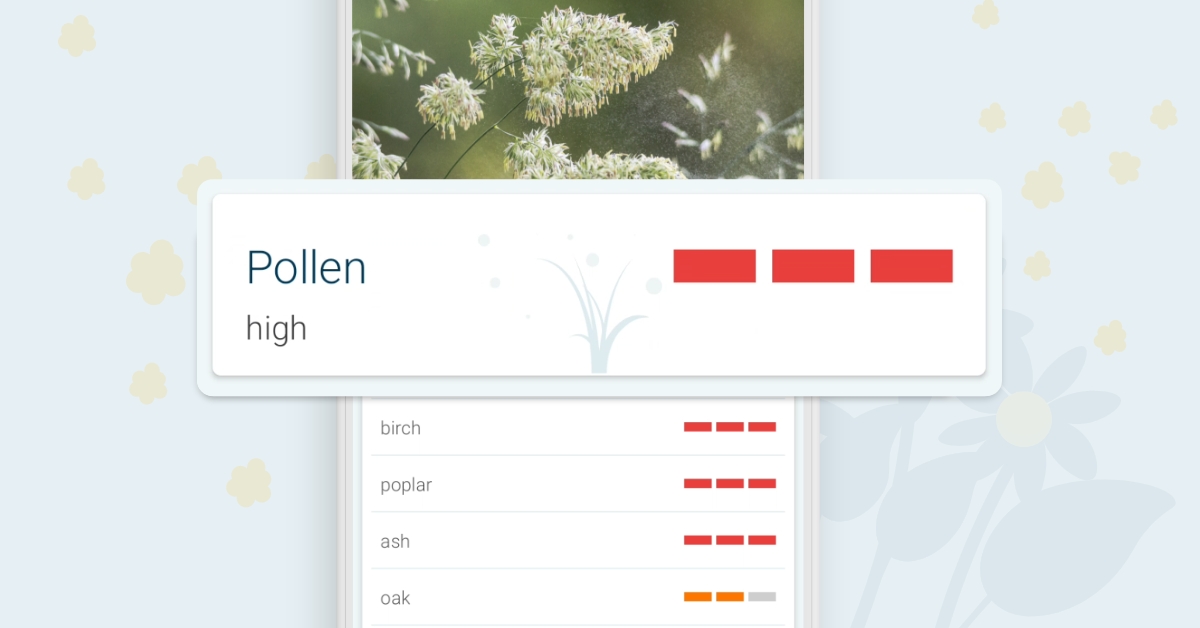 Pollen on Weather & Radar: Stay a step ahead of hay fever! – Weather News