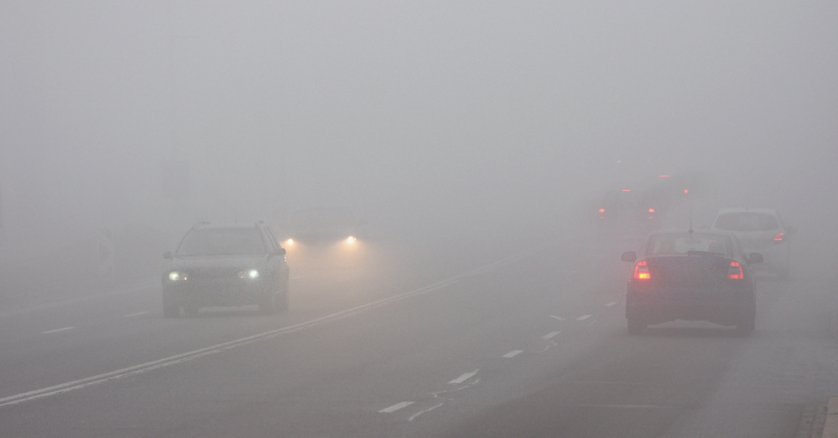 ¿Cómo actuar en caso de niebla? - Noticias y actualidad meteorológica