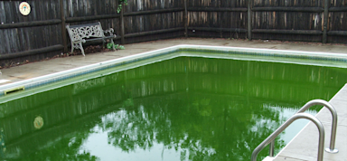 How to Backwash a DE Swimming Pool | Swimmingpool.com