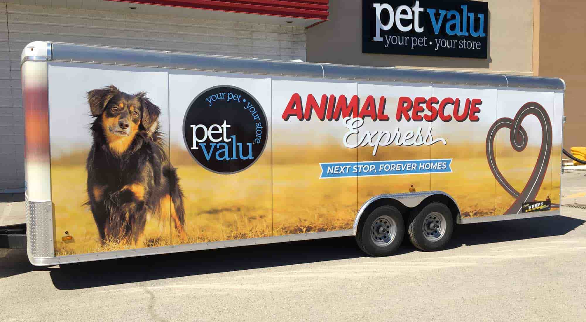 Companions for Change - Our Mission across Canada - Pet Valu