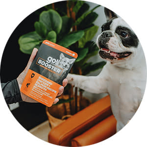 Shop Go! Solutions - Pet Valu