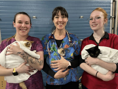 Meet the Victoria Humane Society: Pet Valu Companions for Change ...