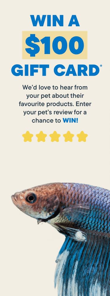 Pet Food, Pet Supplies & Pet Stores - Pet Valu