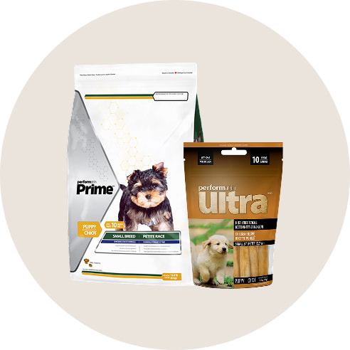 Puppy Essentials Pet Valu