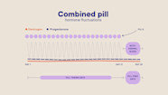 What Does Oral Contraception Do To Your Hormones Jennis