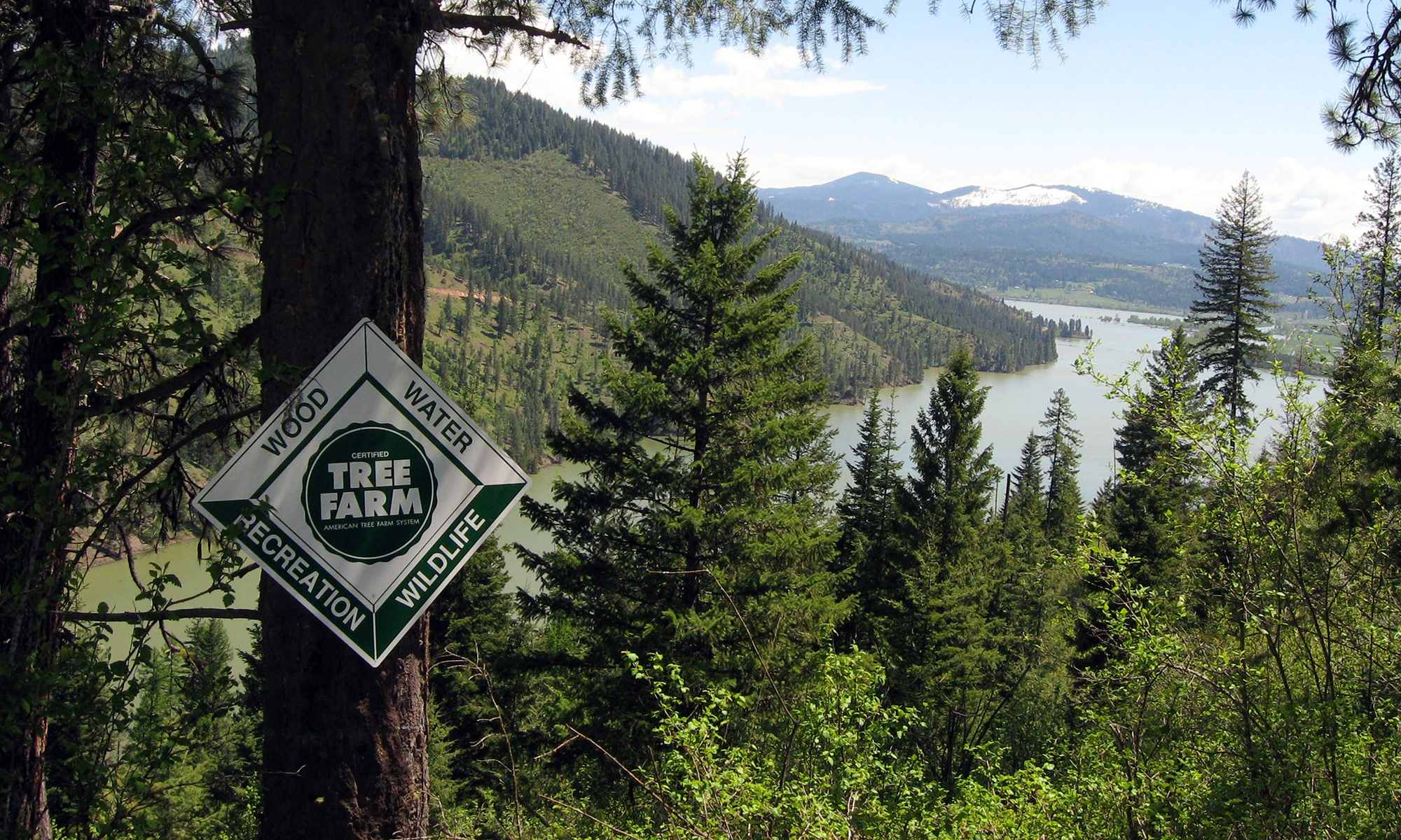 2018 American Tree Farm System By the Numbers