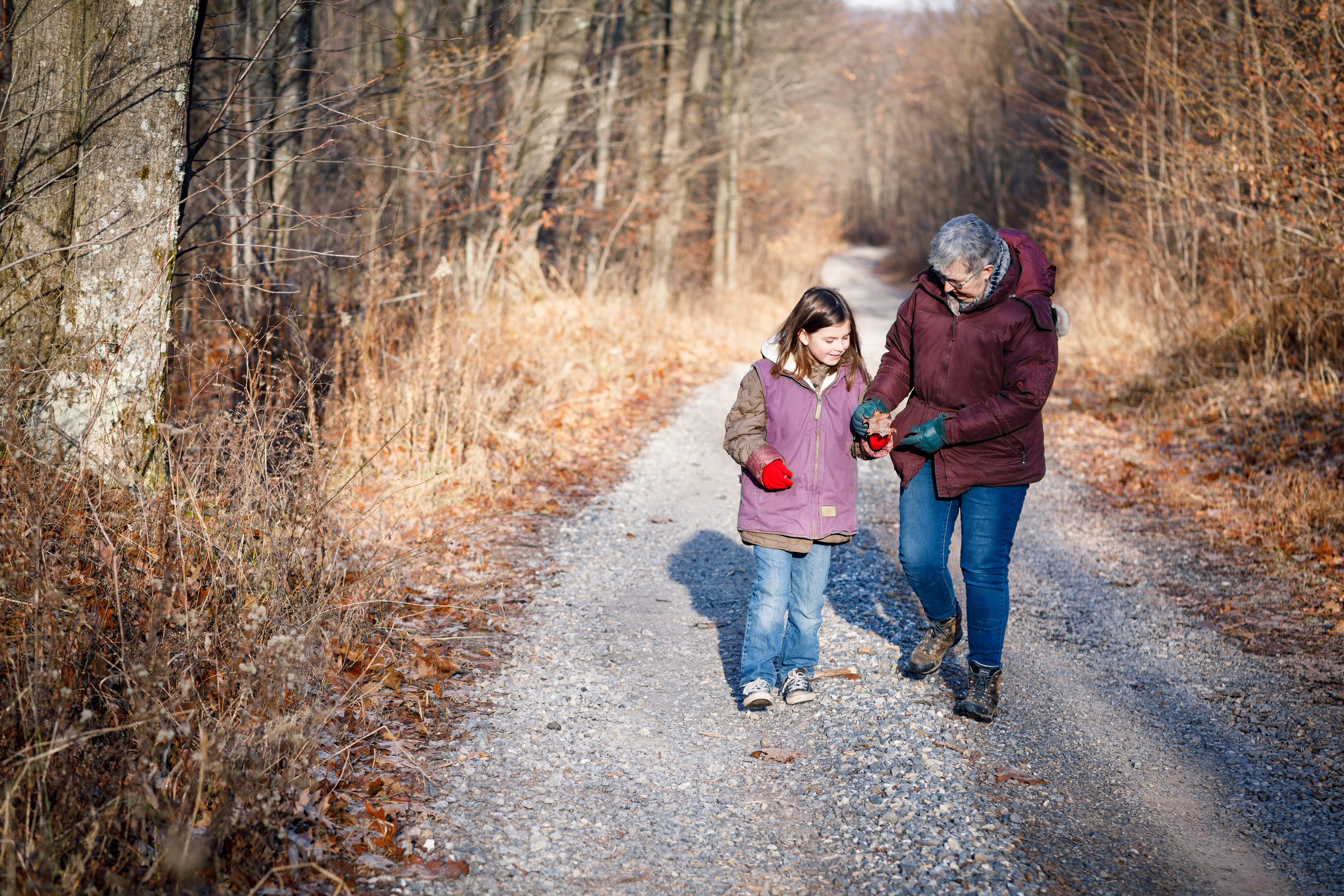 American Forest Foundation | Unlocking Potential in Family Forests