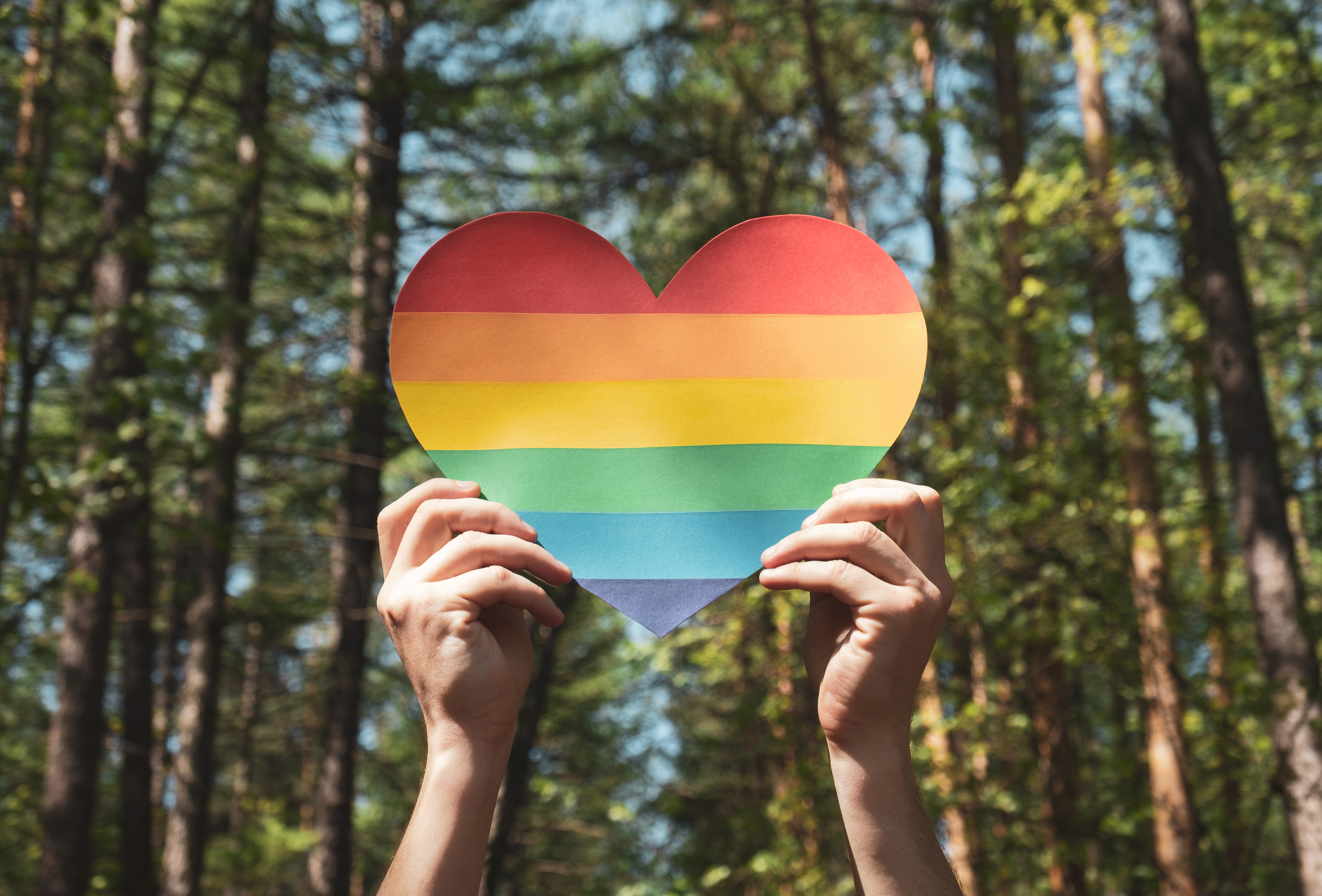 The American Forest Foundation Celebrates Three LGBTQ+ Scientists ...