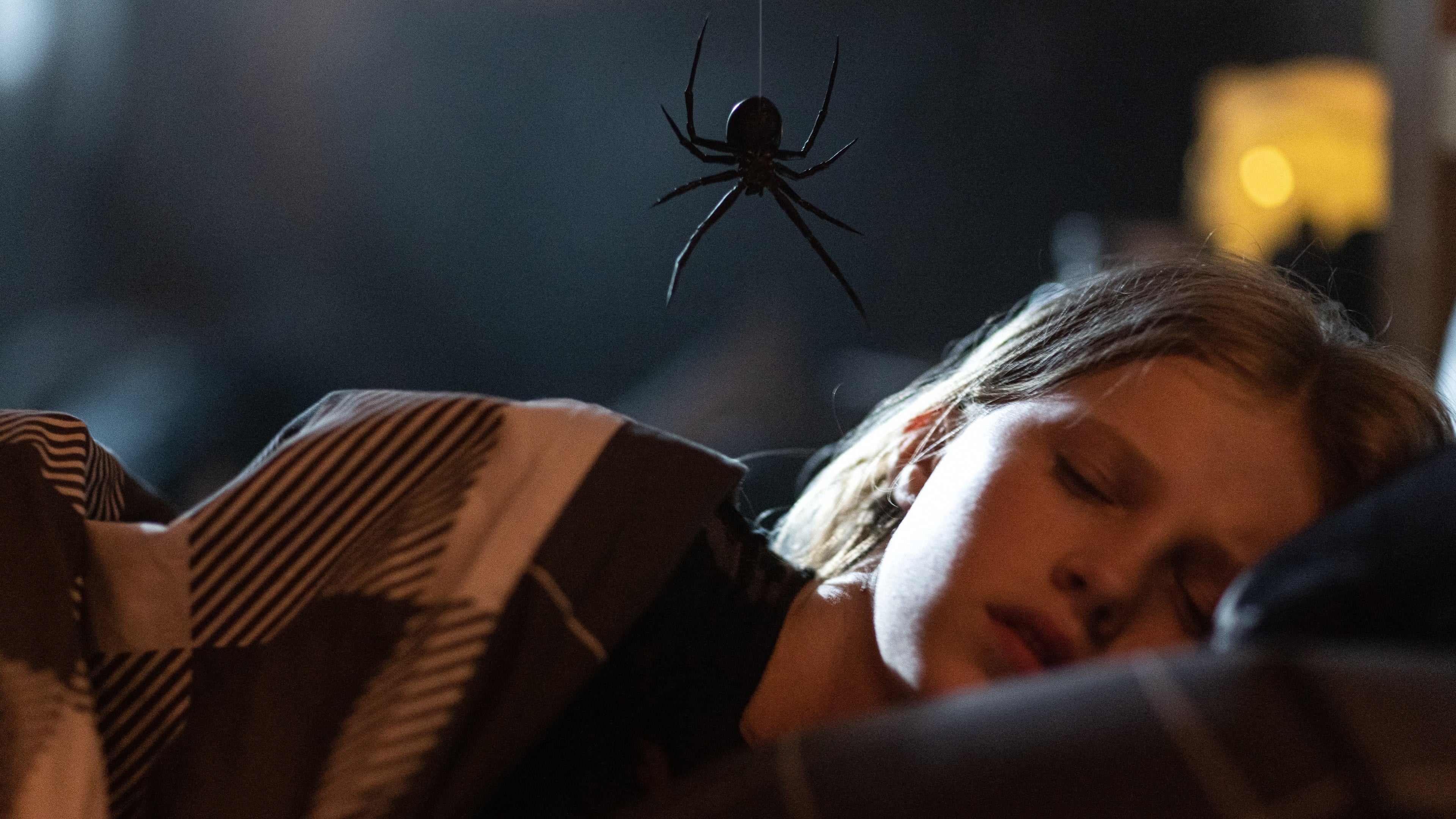 Sting | City Kinos München