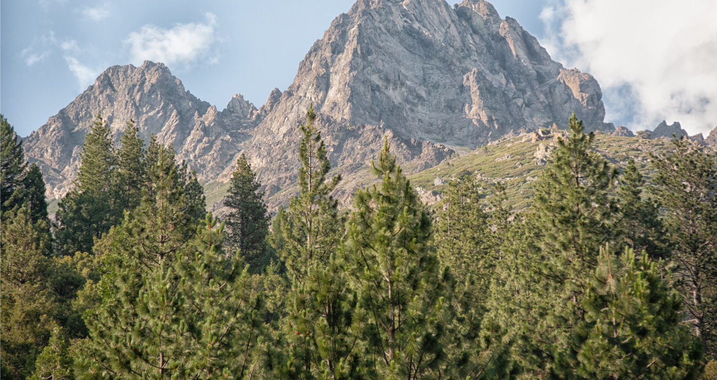 About | Calvert Impact