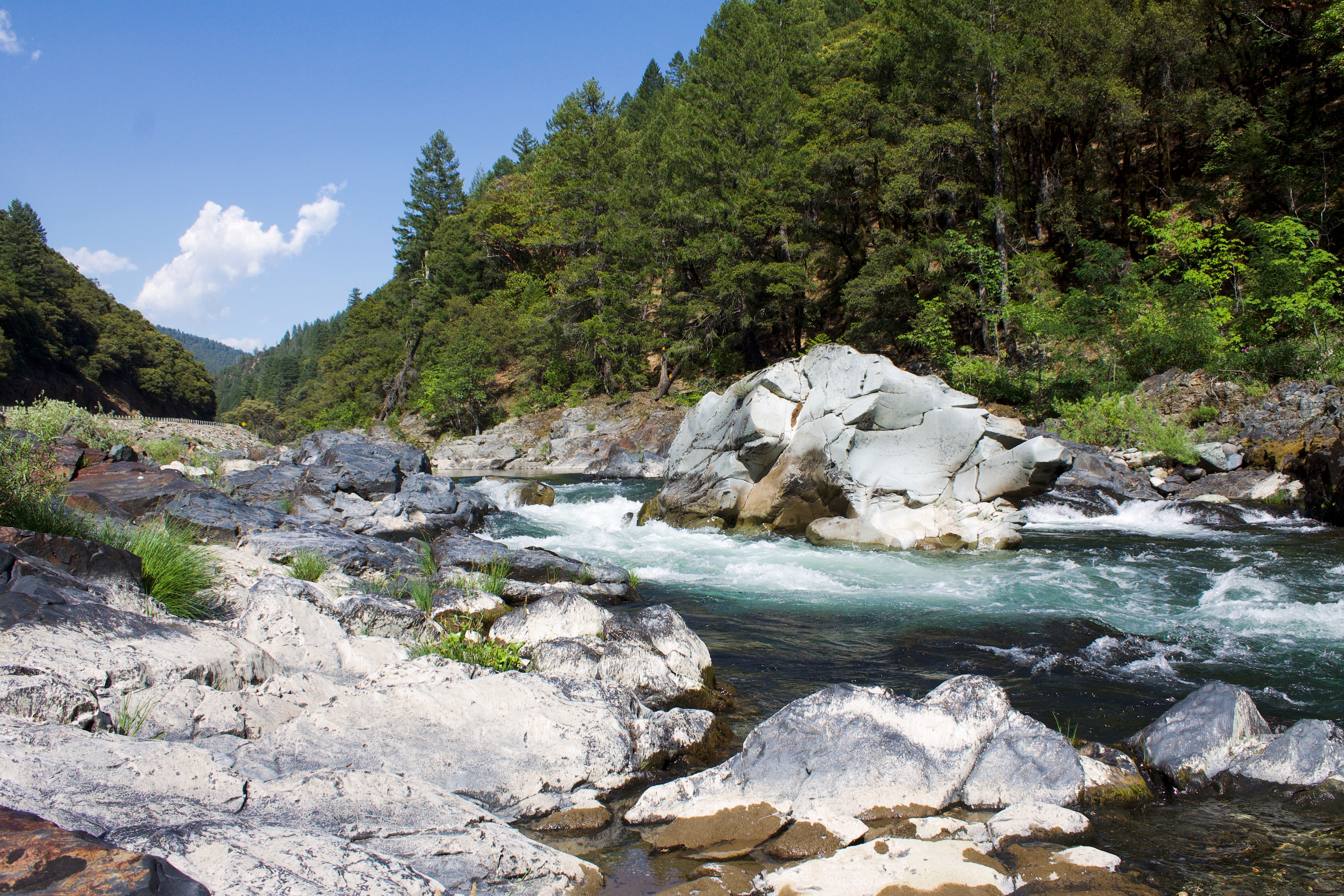 Financials and Reports | Calvert Impact