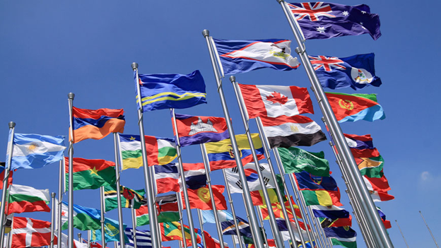 International Organization Voting Rules for AGI Governance