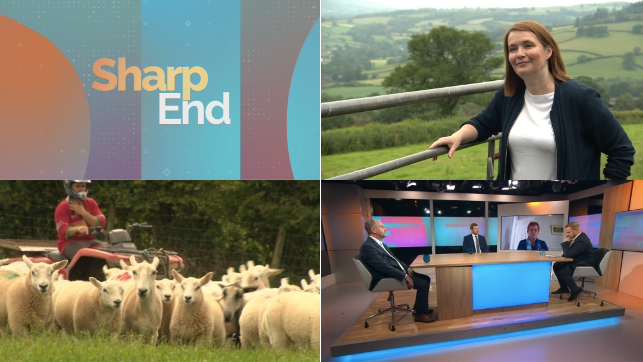 Sharp End June 30th | Wales Programmes