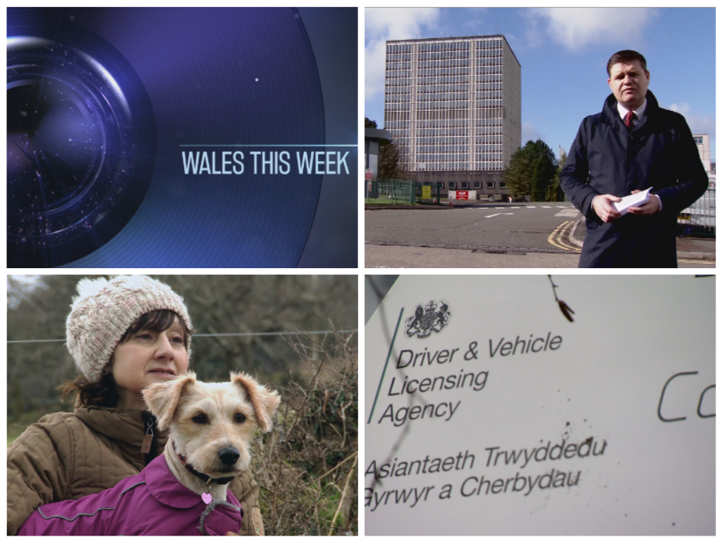 Wales This Week: Series 3, Episode 5 | Wales Programmes