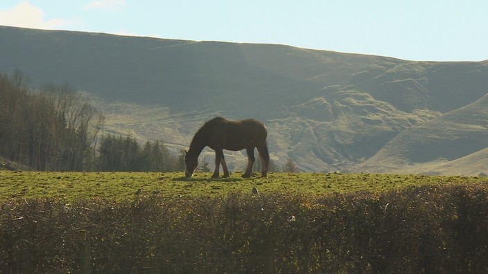 Coast and Country, Series 4, Episode 6 | Wales Programmes