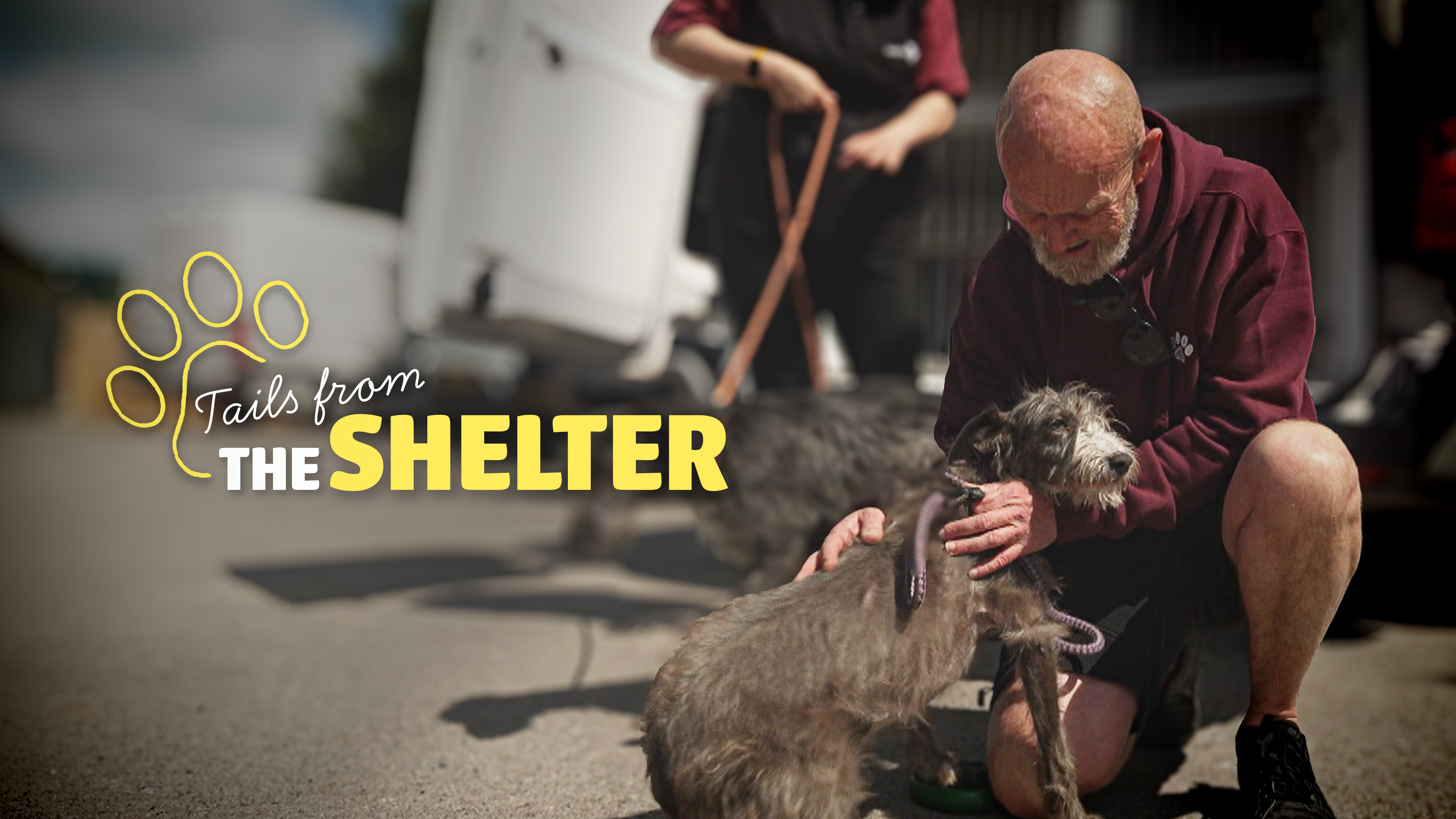 Tails From The Shelter: Episode 4 | Wales Programmes