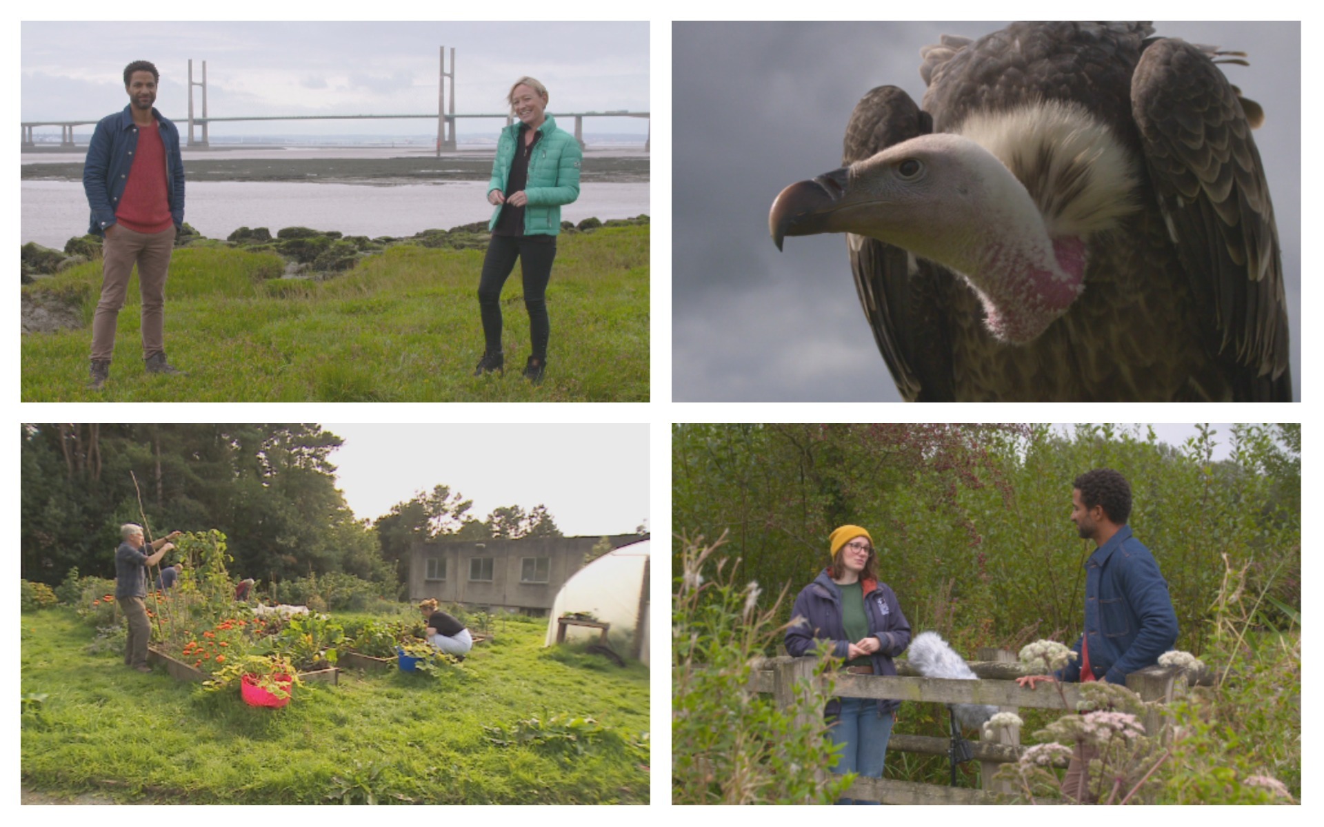 Coast & Country: Episode 1 | Wales Programmes