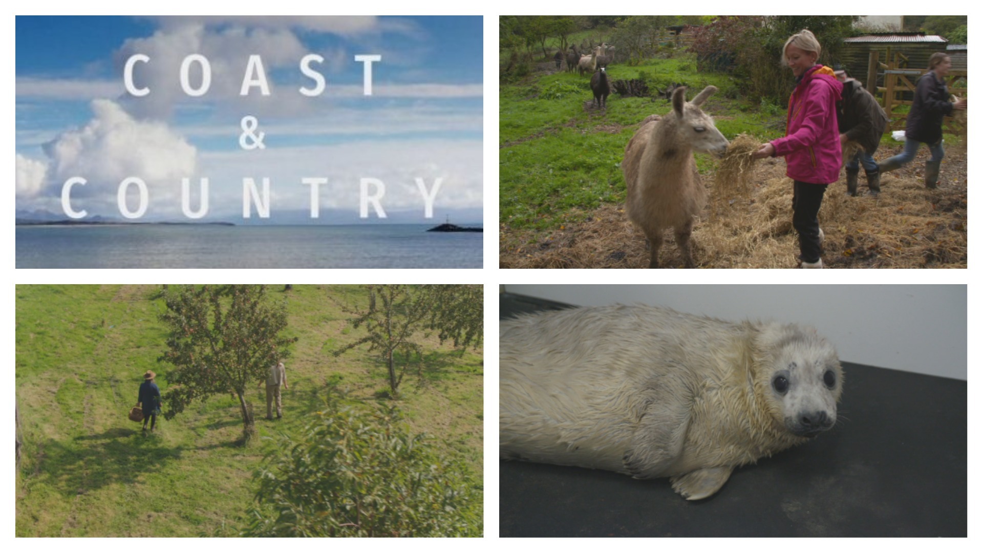 Coast & Country: Episode 3 | Wales Programmes